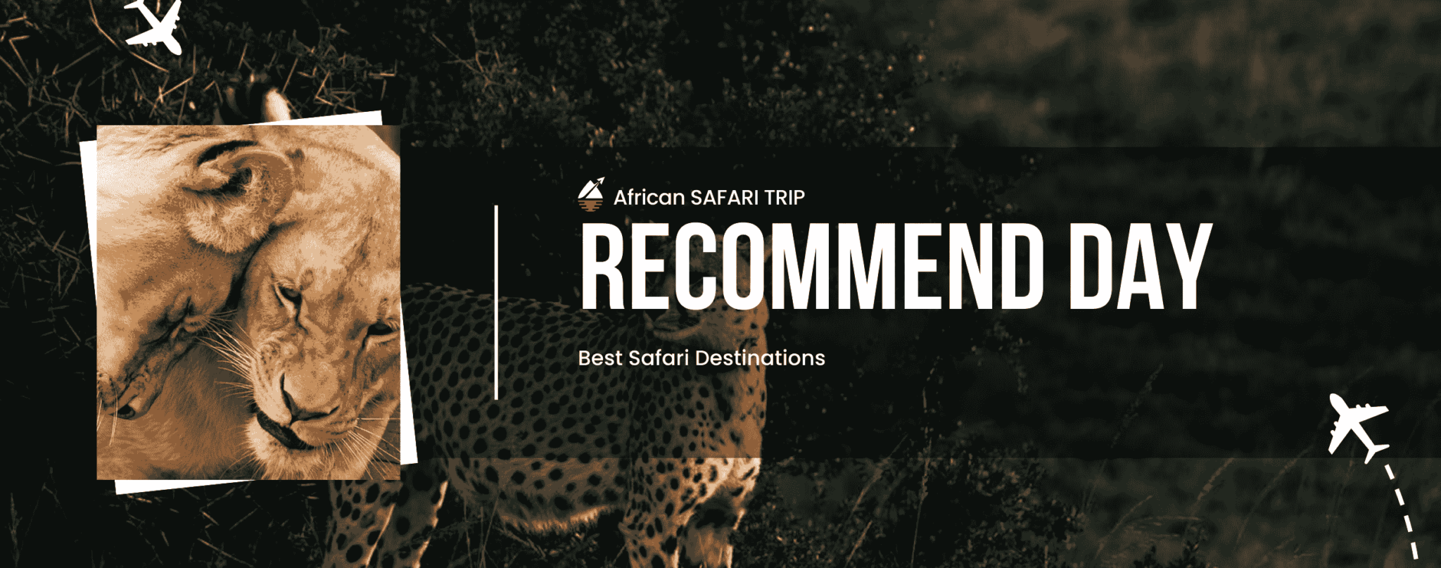 How Many Days Do You Need for an African Safari - Adventure Twist