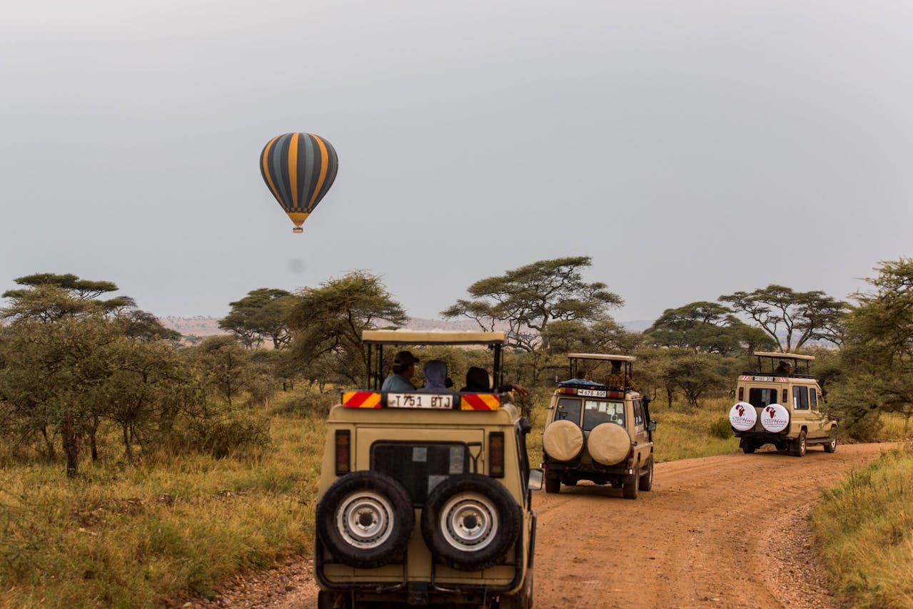 Top 3 Best-Rated African Safari Countries in 2024 - Adventure Twist