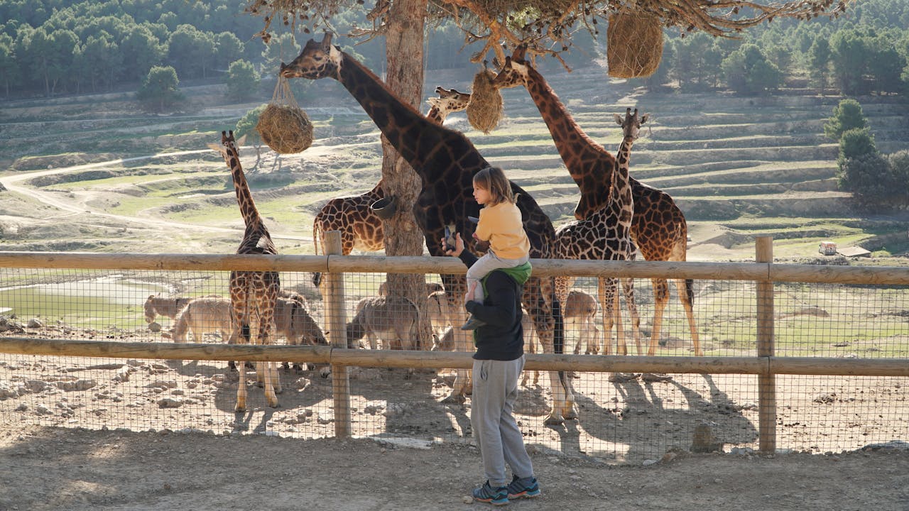 Fun Activities on an African Safari - Adventure Twist